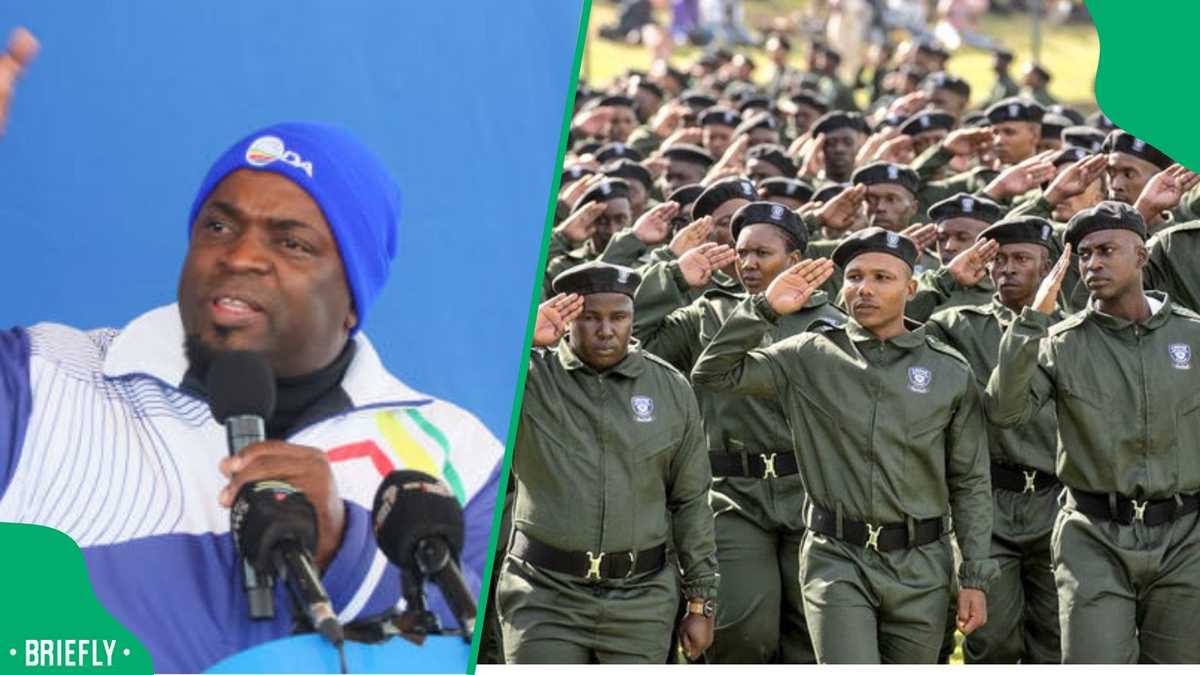 DA seeks legal clarity on Gauteng's newly recognised crime prevention ...