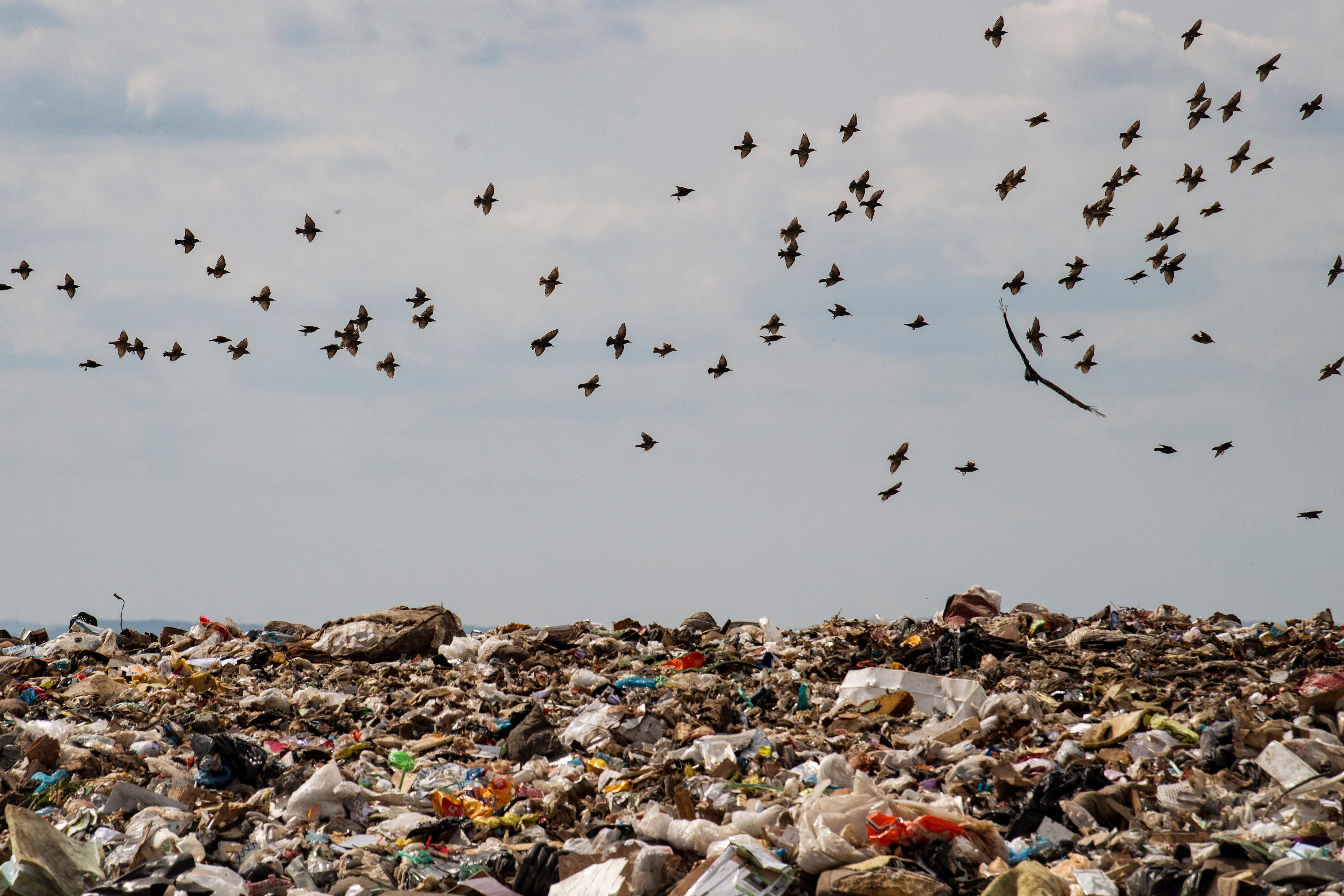 Nashville's new trash pickup schedule begins. Find your collection day
