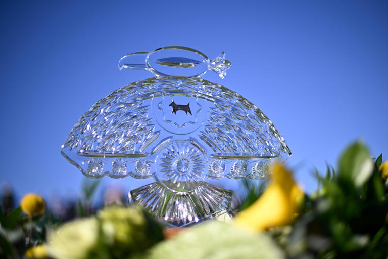 2026 WM Phoenix Open Open payout, purse: How much does each golfer get?