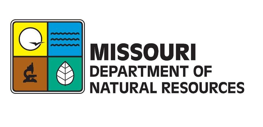 Missouri DNR continues to investigate a fish kill in the Black River