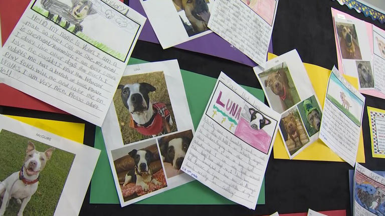 Gardner students turn persuasive essays into pet adoption campaign