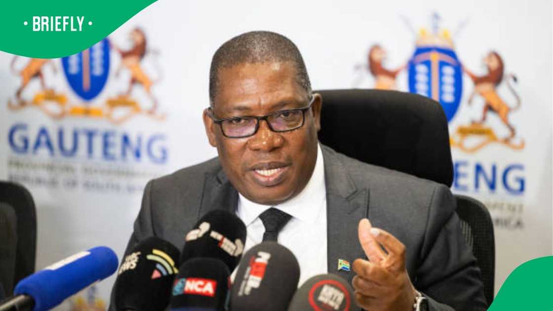DA seeks legal clarity on Gauteng's newly recognised crime prevention ...