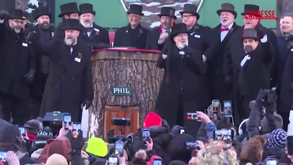 Stati Uniti, è il giorno della marmotta. Phil ha fatto la sua ...
