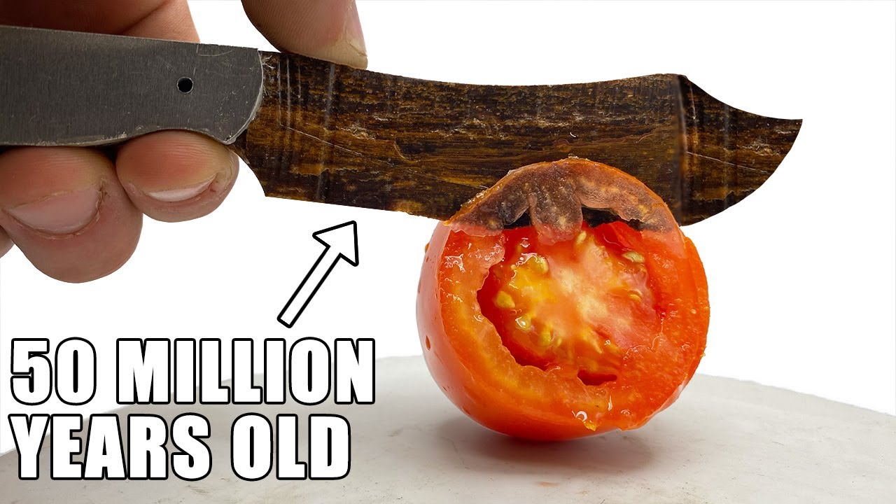Crafting a petrified wood blade