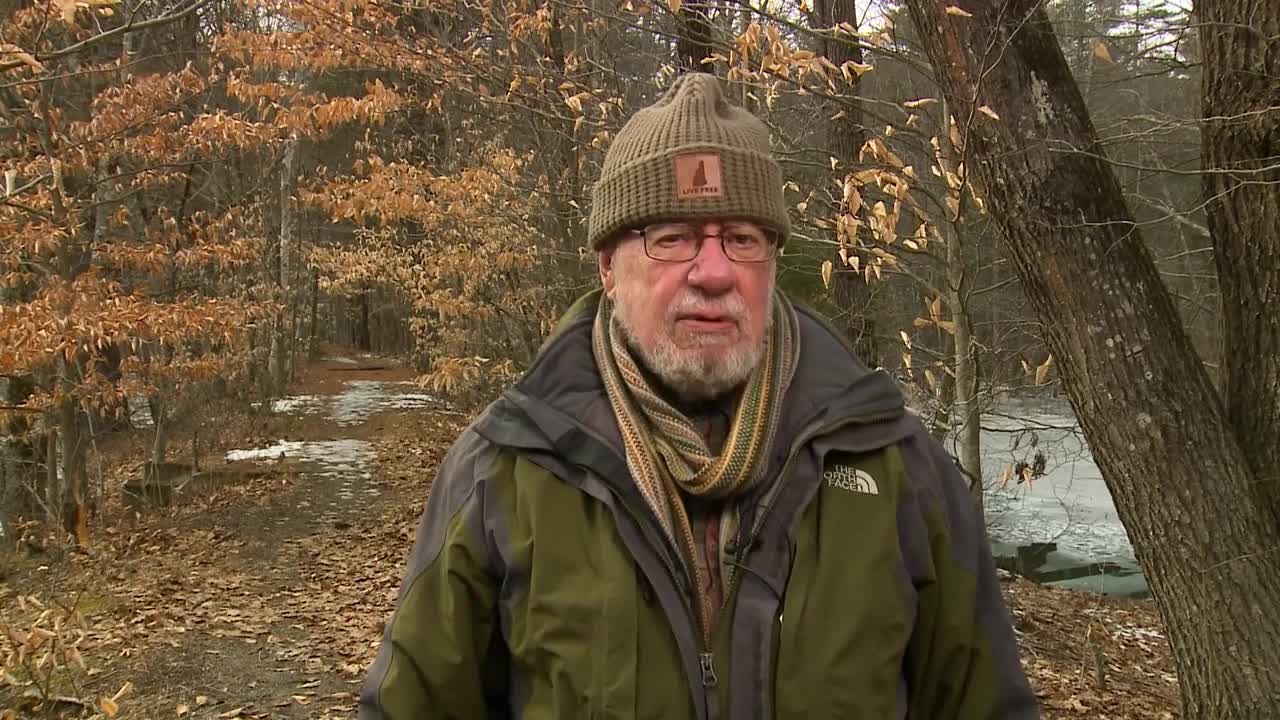 Fritz Wetherbee: Cows come home