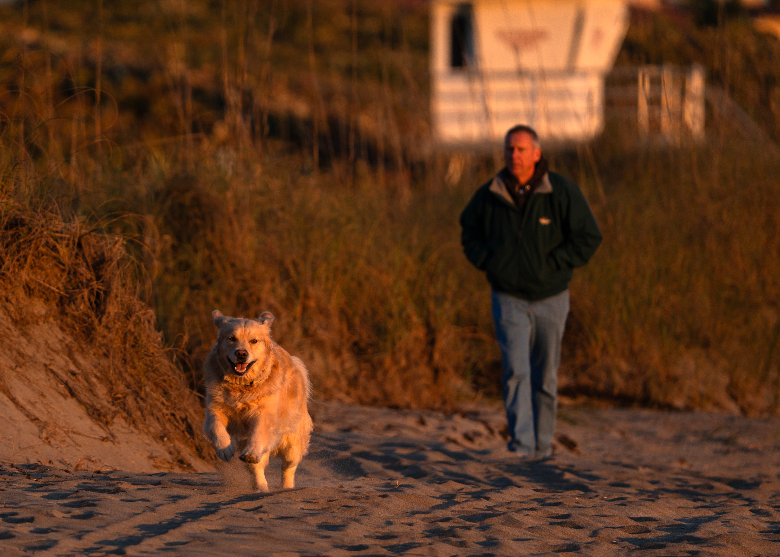 Florida dog-friendly beaches for spring break, three on Treasure Coast