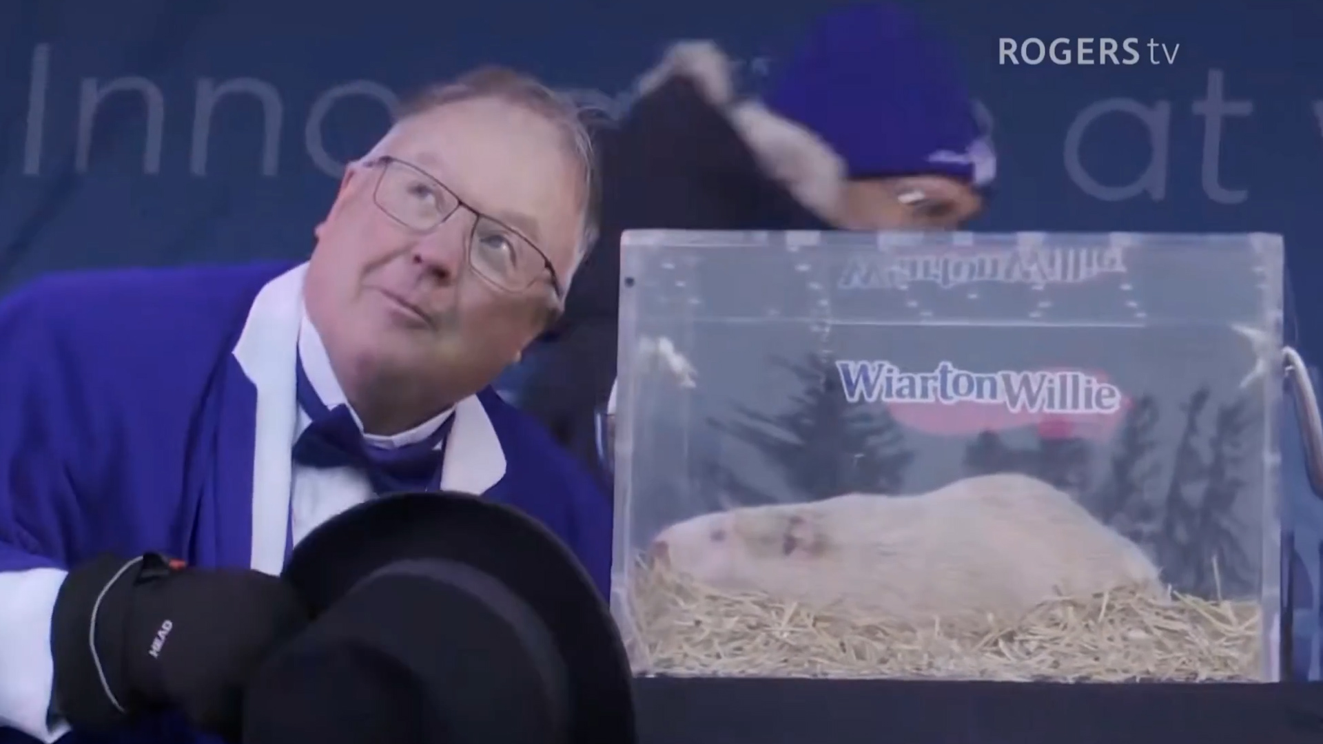 Ontario's famous groundhog Wiarton Willie predicts early spring