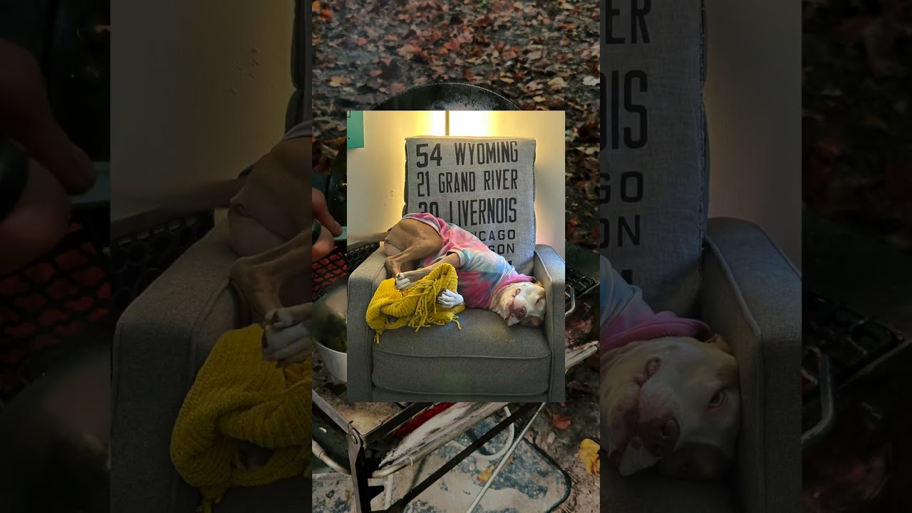 Cooking camping meals for me and my dog: beef and broccoli