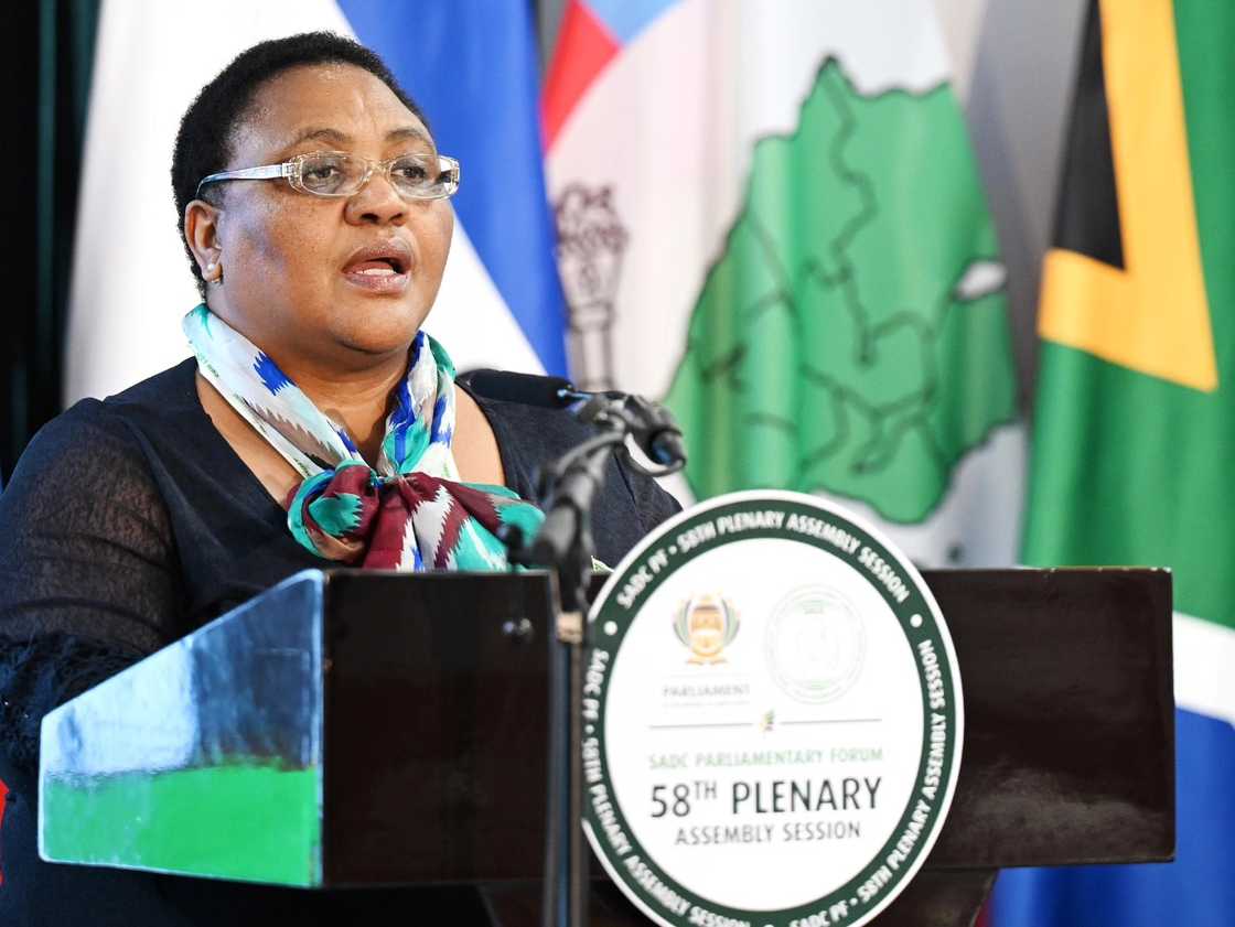 Thoko Didiza calls for security consultation ahead of Brown Mogotsi's ...