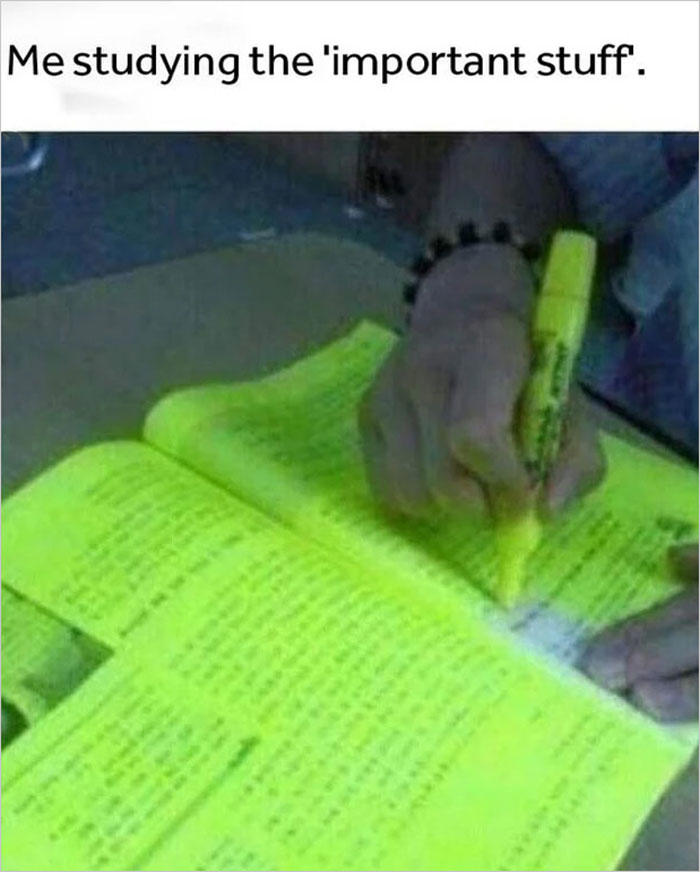 25 student memes that might make you laugh and cry at the same time, as ...