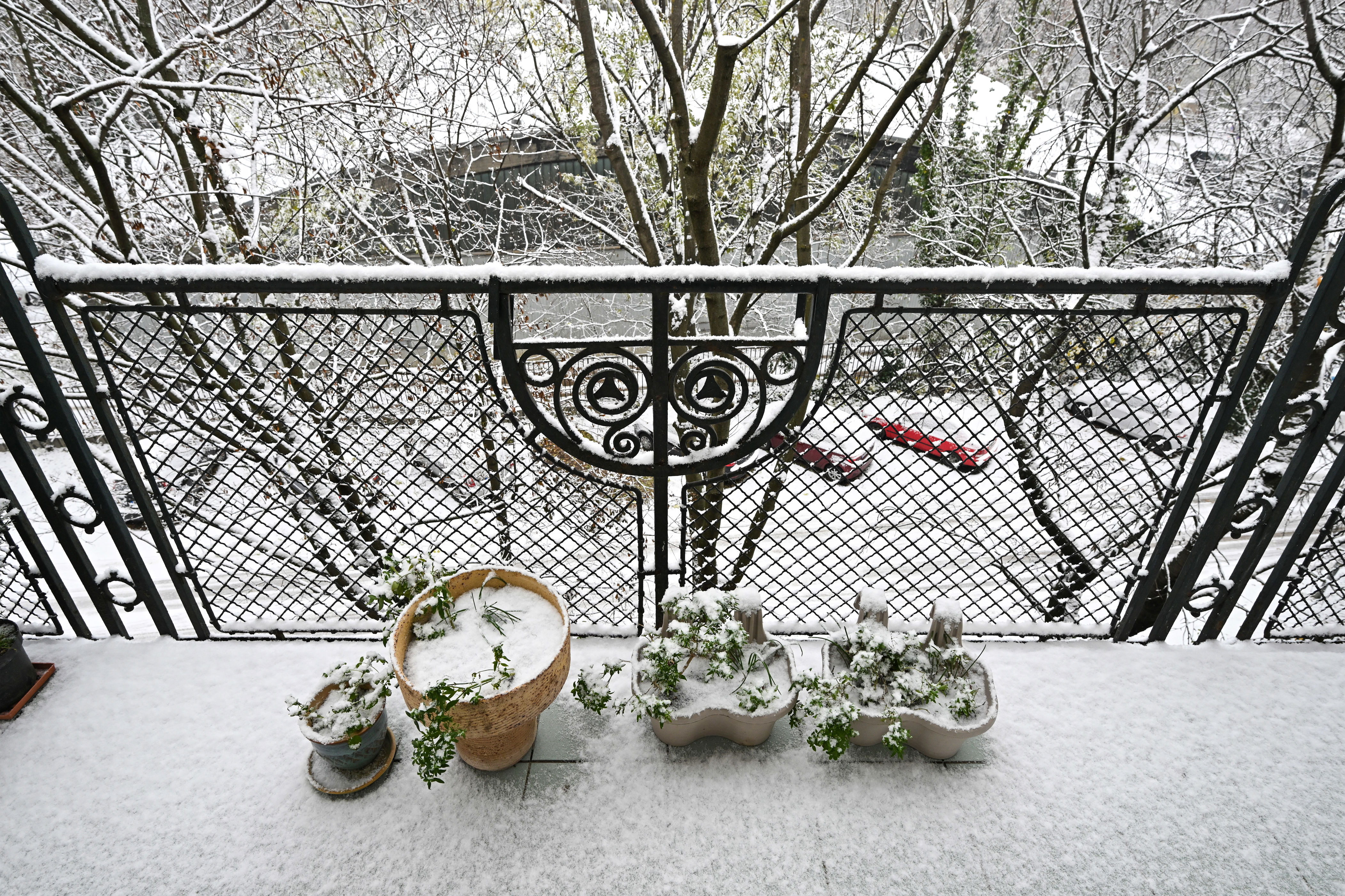 Here’s how to plan your spring garden this winter without feeling ...