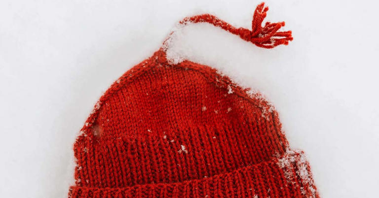 Crocheters join knitting protest with red 'Melt the ICE' hats, raising ...