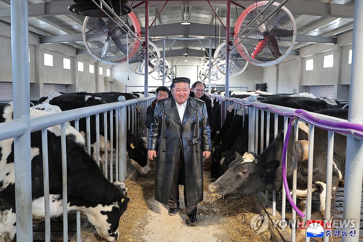 N Korea dedicates stockbreeding farm