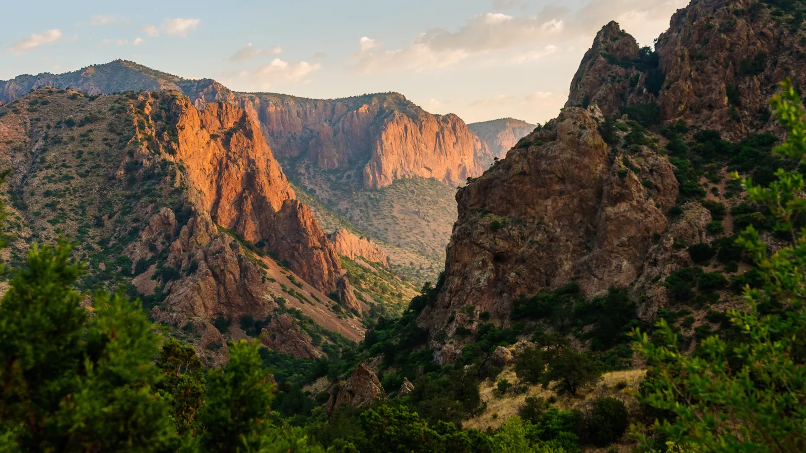 Planning a Big Bend camping trip? Here’s what to know