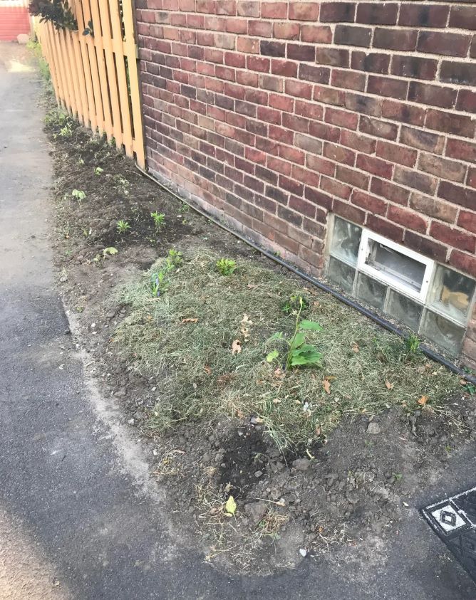 Homeowner shares striking before-and-after photos of narrow curb near ...