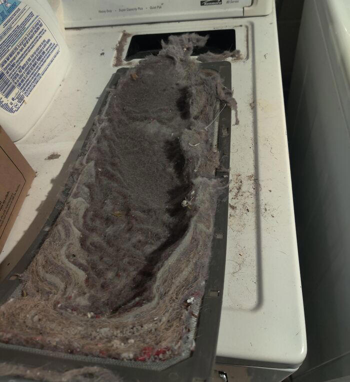 44 blood-boiling photos that show the worst roommates people have to ...