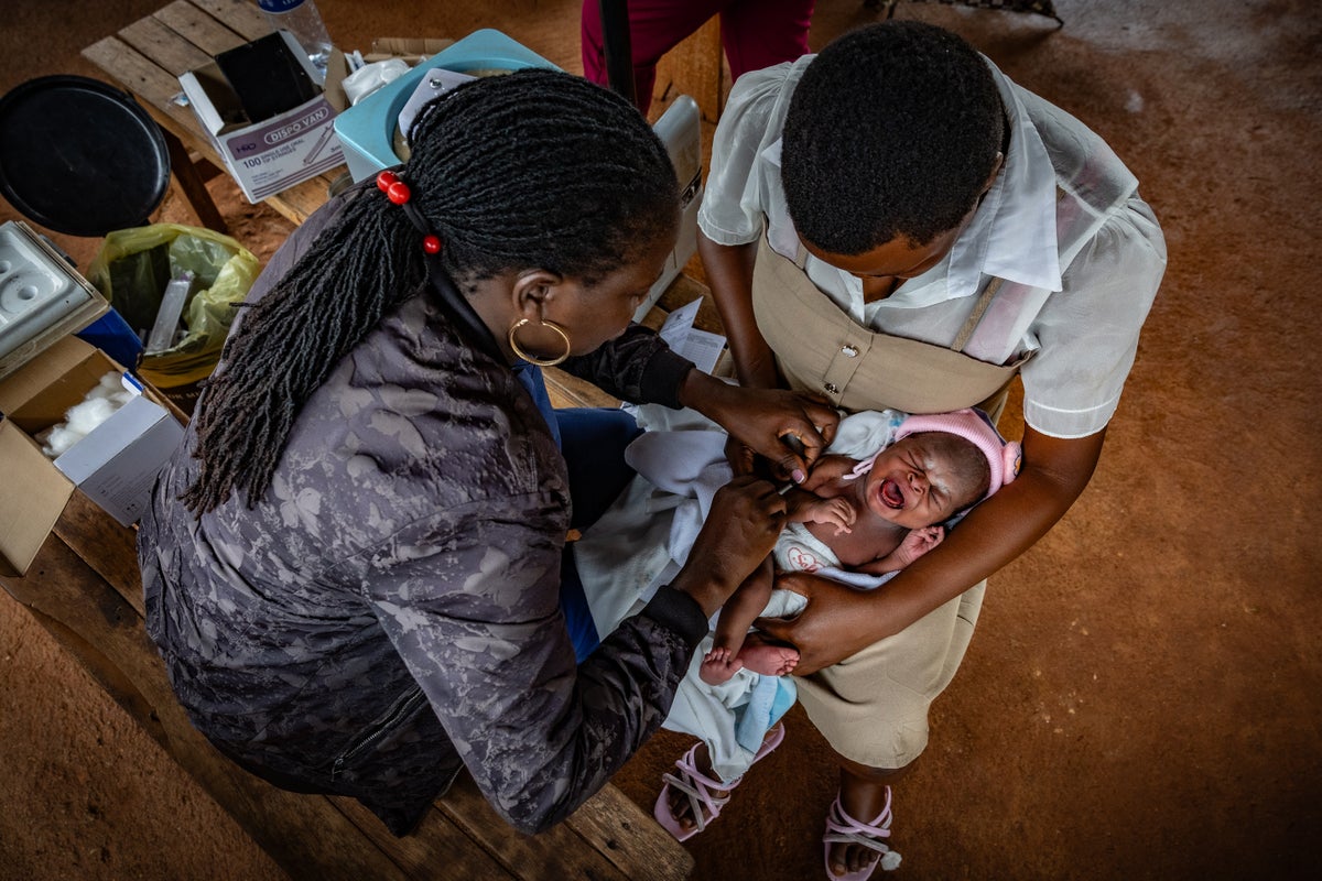 Nearly 23m extra deaths worldwide by 2030 as aid cuts bite, study says