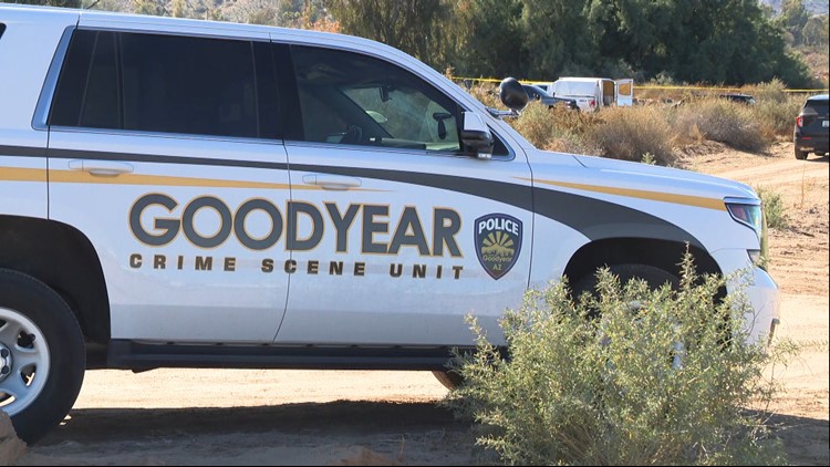 Former Goodyear cop reprimanded for intentionally putting man in hot ...