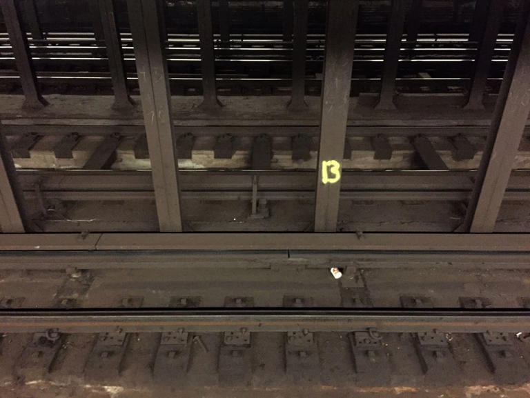 Dog killed after hitting third rail on NYC subway tracks