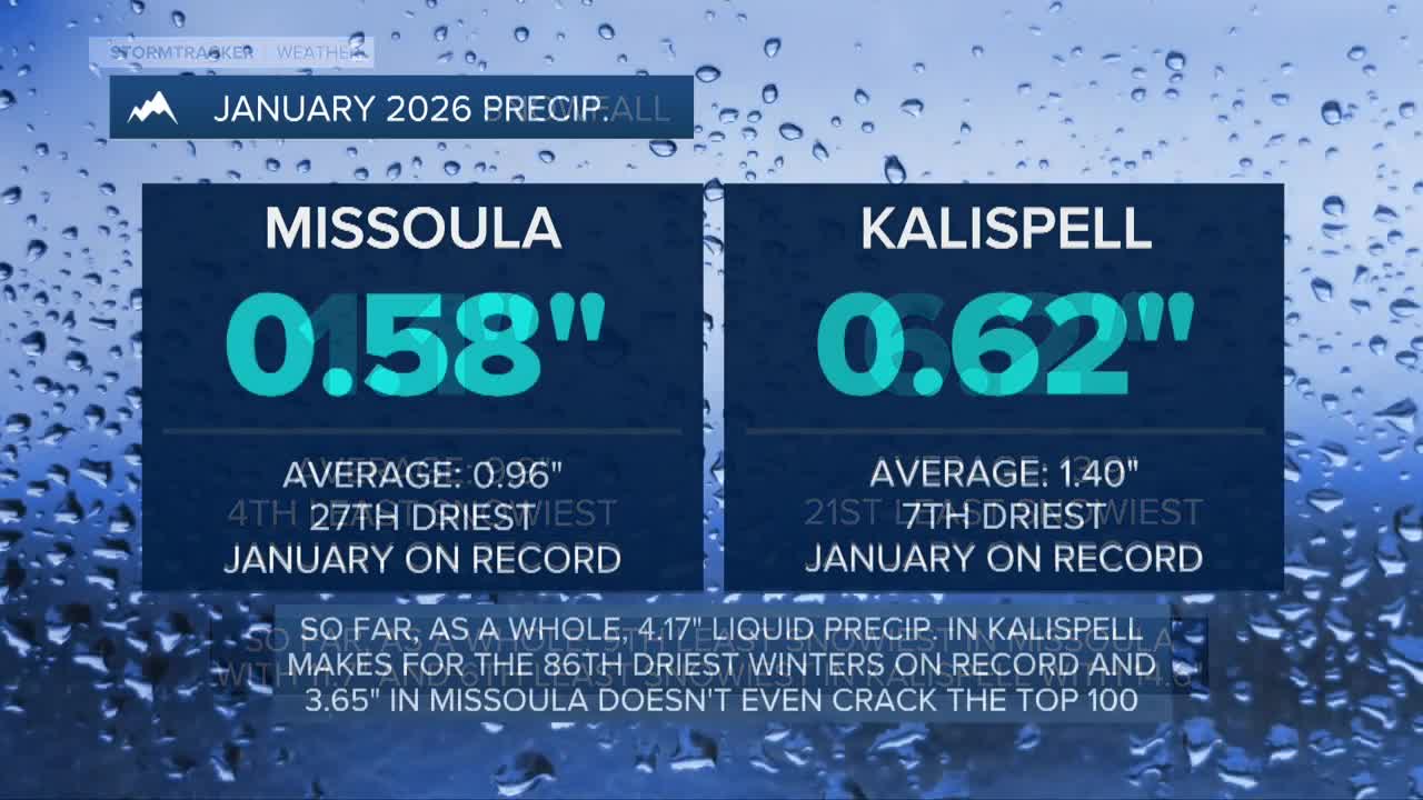 January winter recap