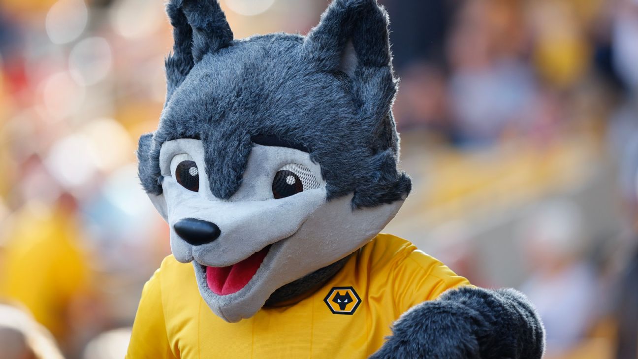Fed by the wolves: Mascot gets kid's chicken nuggets back