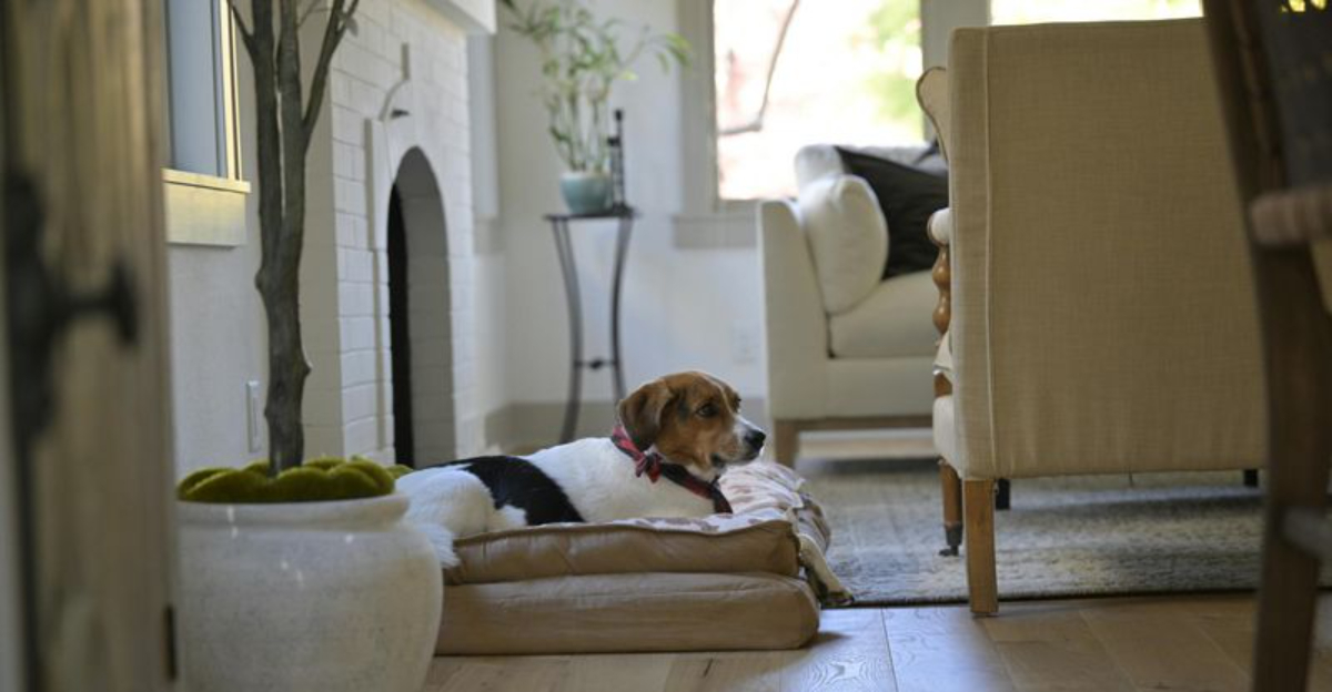 10 things that don’t belong in a well-designed living room