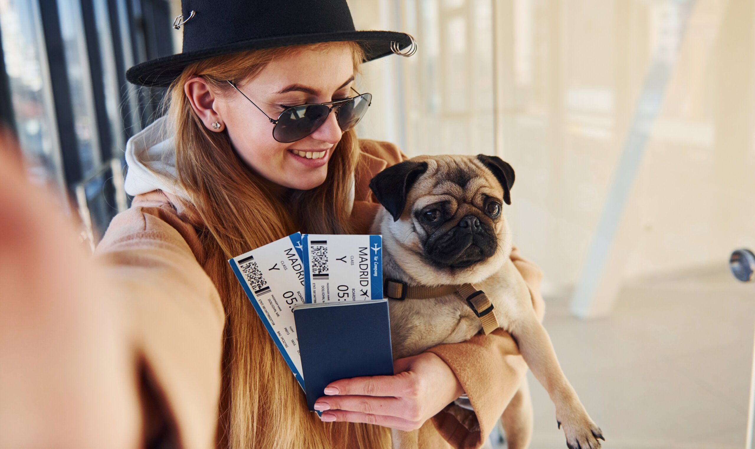 How to fly with your pet