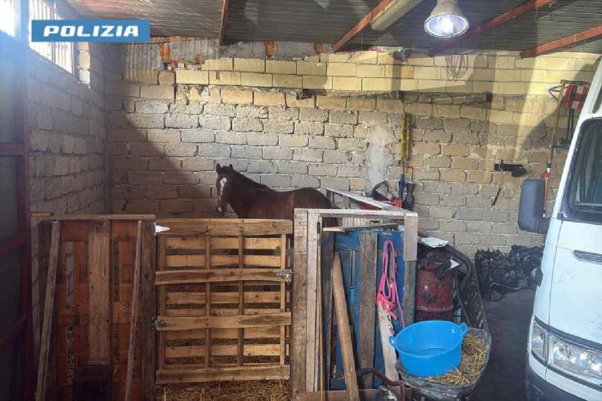 In garage auto rubate e un cavallo, tre denunce nel Siracusano