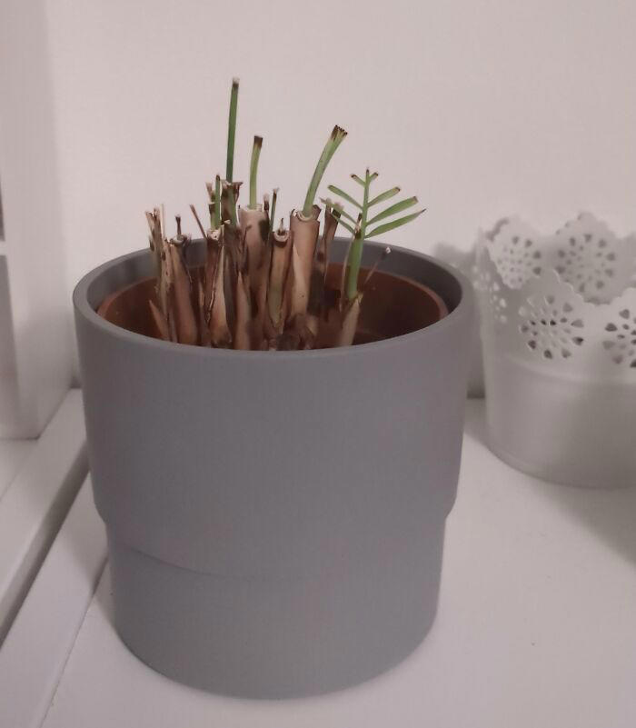 44 blood-boiling photos that show the worst roommates people have to ...