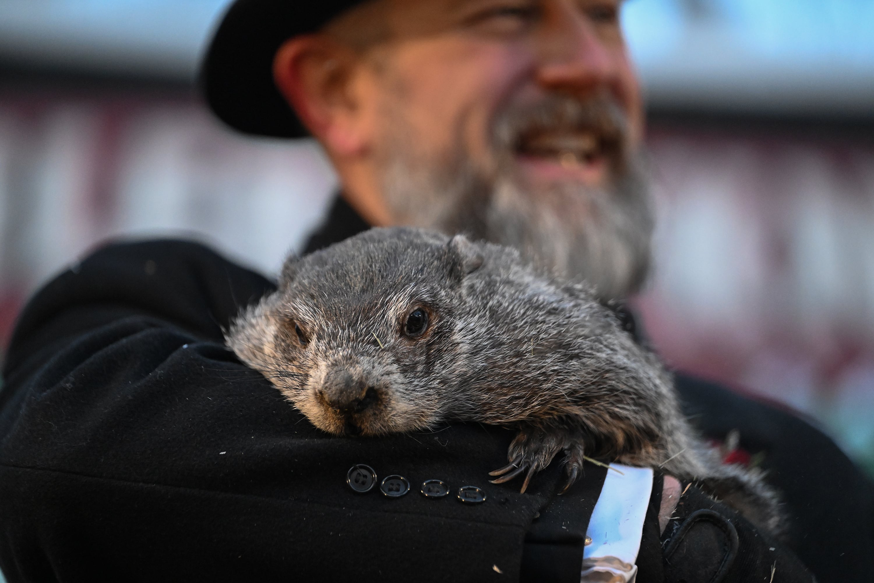 Groundhog Day explained: The 139-year history behind Punxsutawney Phil ...