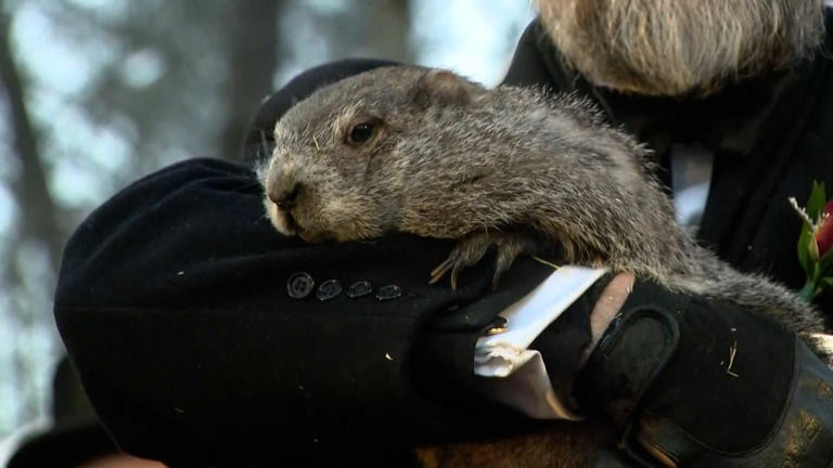 Groundhog Day 2026: Punxsutawney Phil predicts 6 more weeks of winter