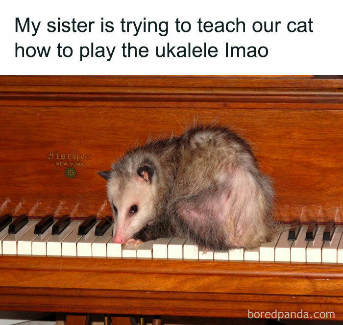 24 of the cringiest posts from 'quirky and random' people
