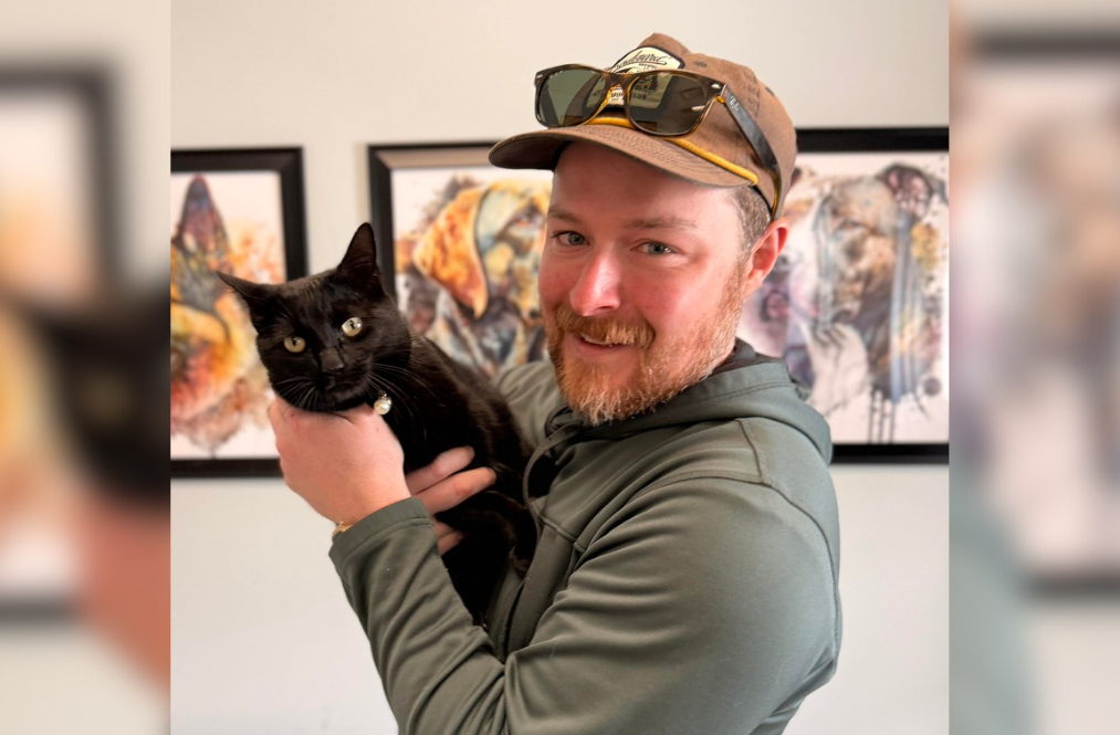 Cat missing for nearly a year found in Missouri, reunited with owner ...