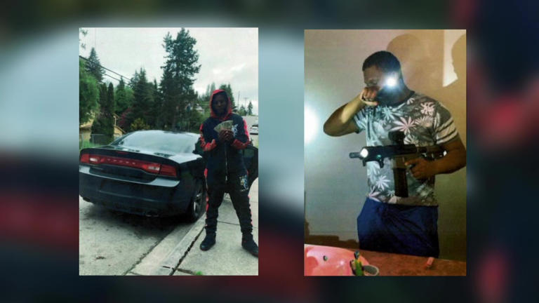 Co-leader of 2022 WA home invasion spree, Everett mother murder, pleads ...