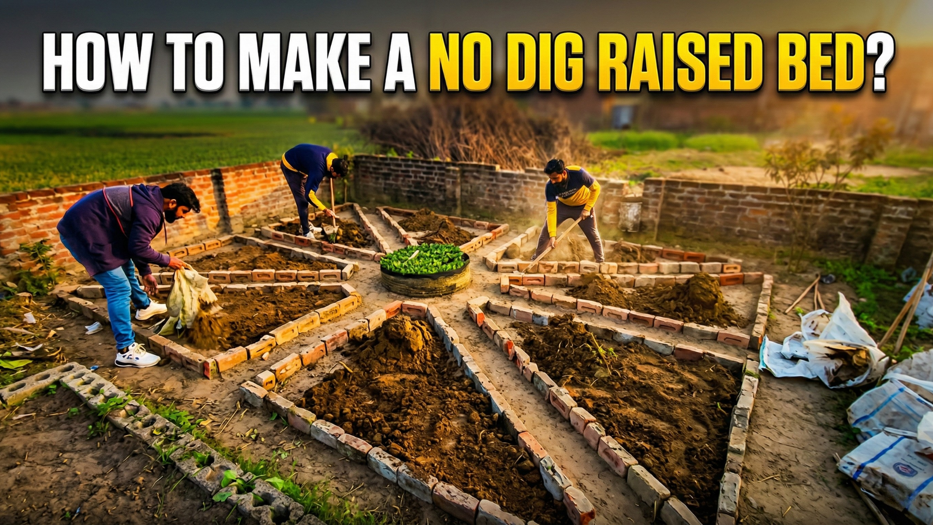 Gardening made easy: No-dig raised bed guide