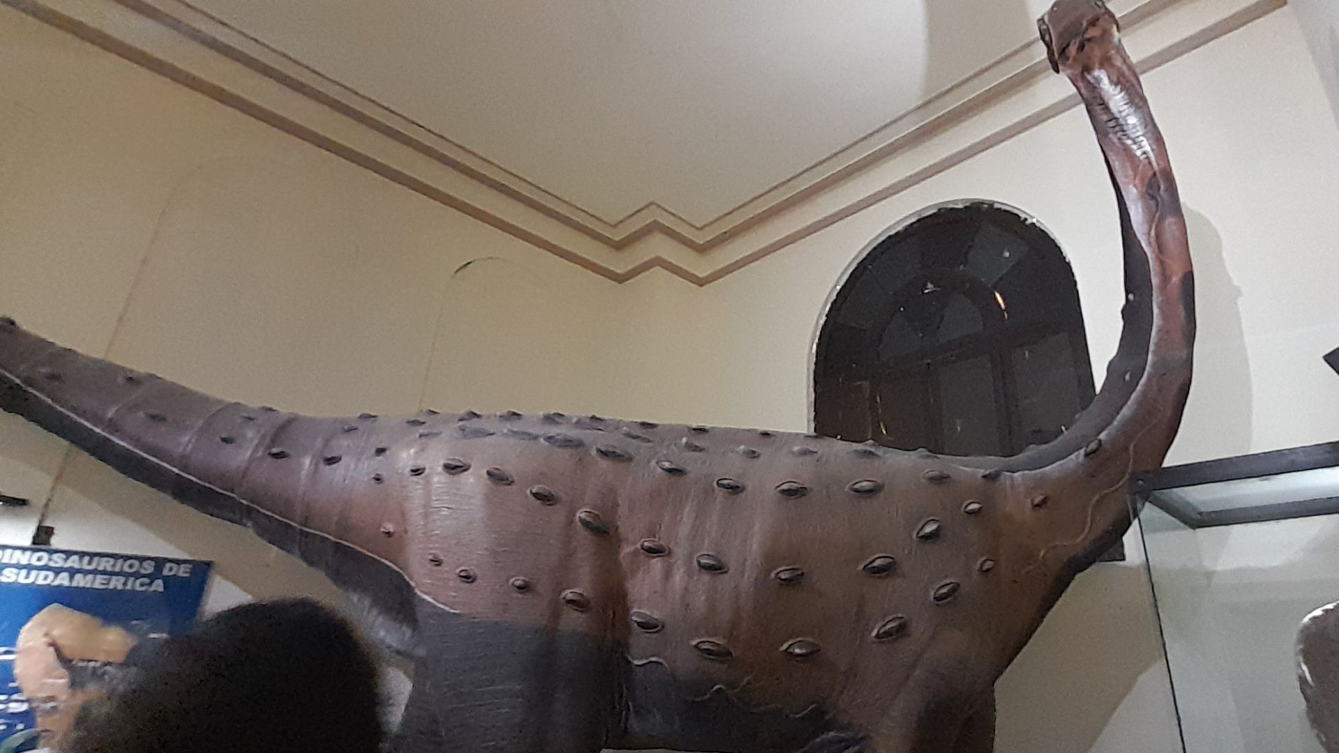 The 20 biggest prehistoric animals in all of history