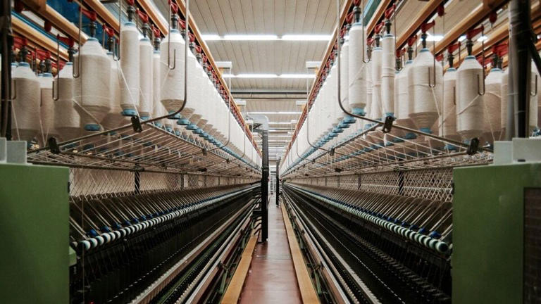 Kitex, Trident to KPR Mill: Textile stocks skyrocket up to 20% on India ...