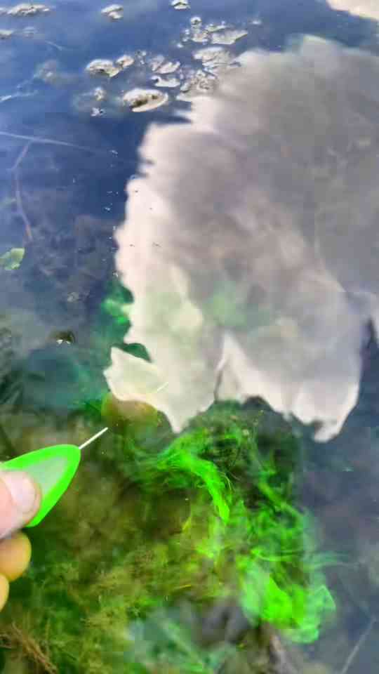 Carp rig montage: Effective fishing setup for better carp catches