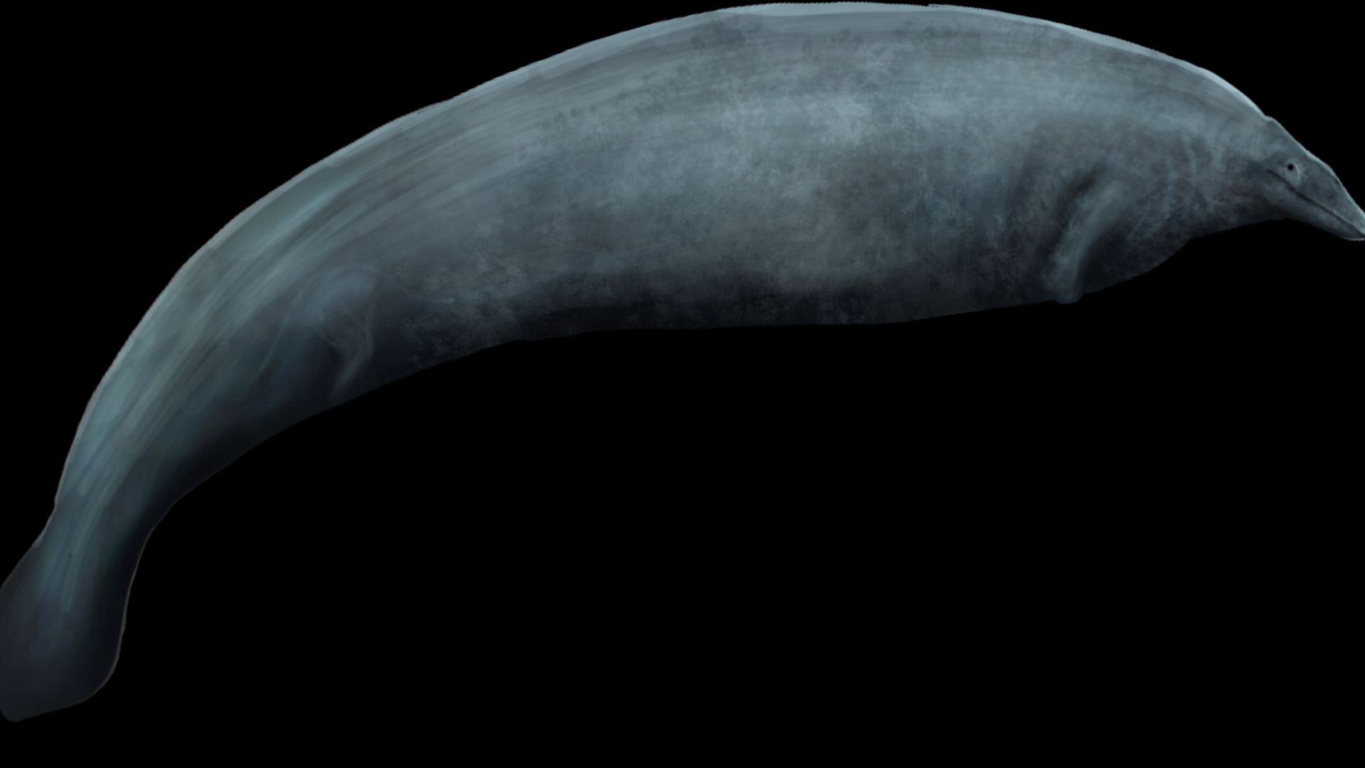 The 20 biggest prehistoric animals in all of history