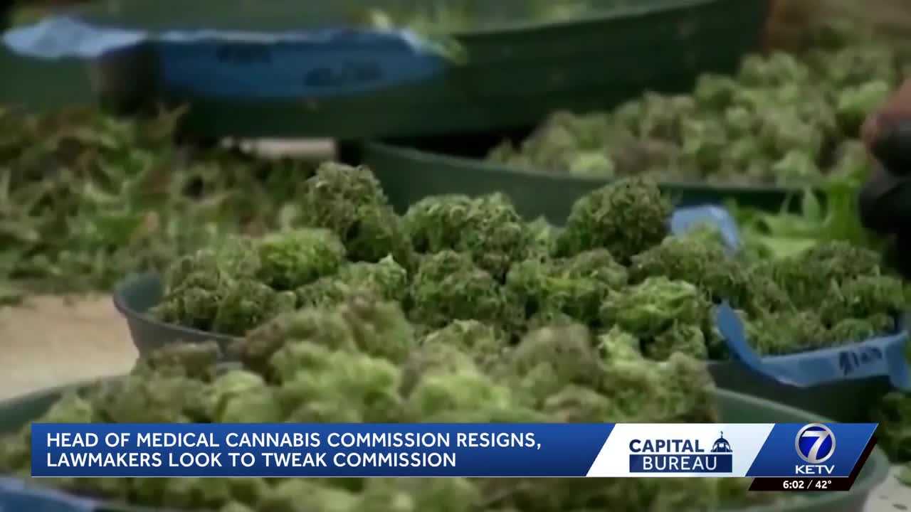 Nebraska Medical Cannabis Commission chair resigns, bills could shape ...