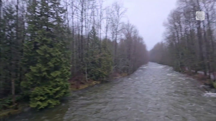 Coquitlam River experiences unseasonably high water levels