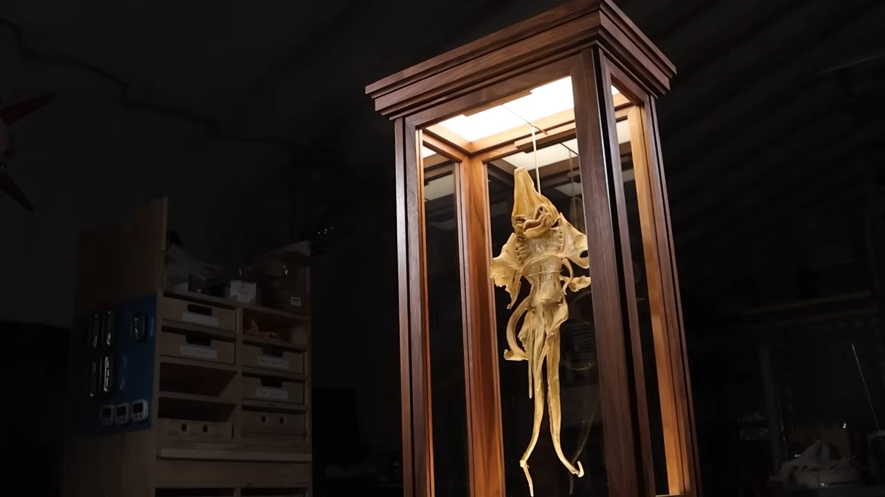 Watch what happens when he brings home cursed artifact