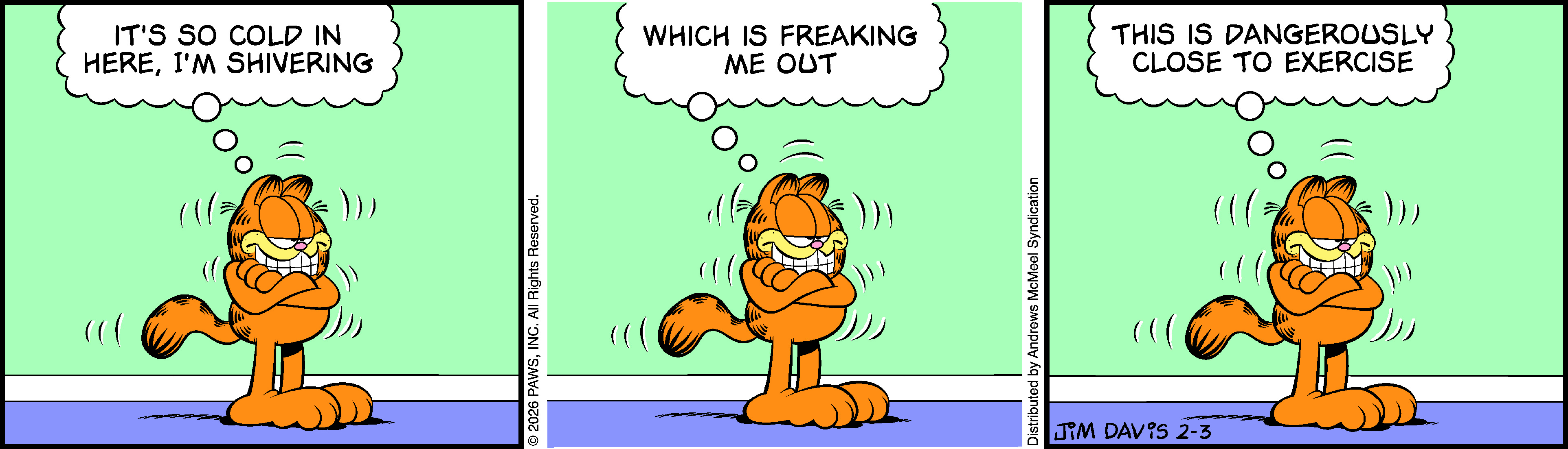 Garfield by Jim Davis