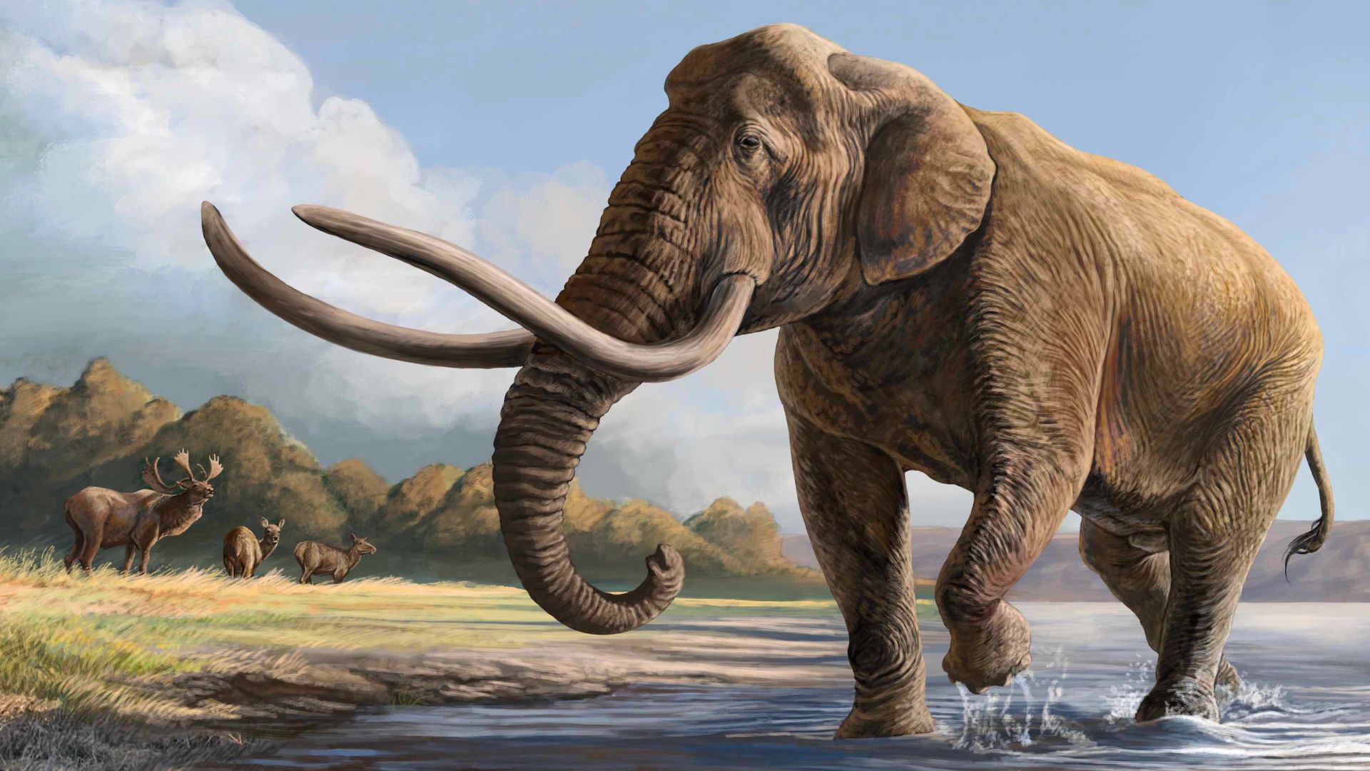 The 20 biggest prehistoric animals in all of history