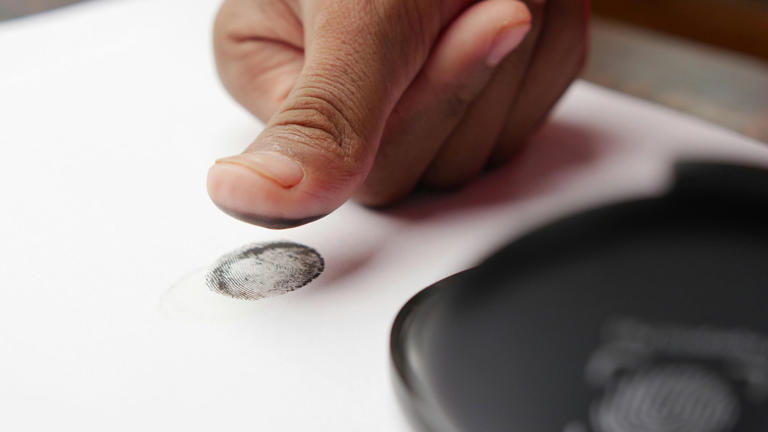 Our fingerprints are totally unique—but scientists still have no clue ...