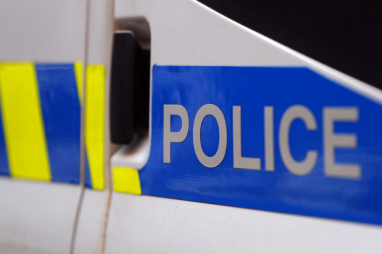 Met Police issue appeal as teen stabbed to death after machete fight