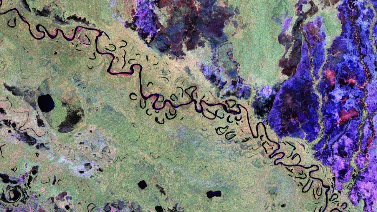 Trippy 'biomass' snap reveals first detailed look at our planet's ...