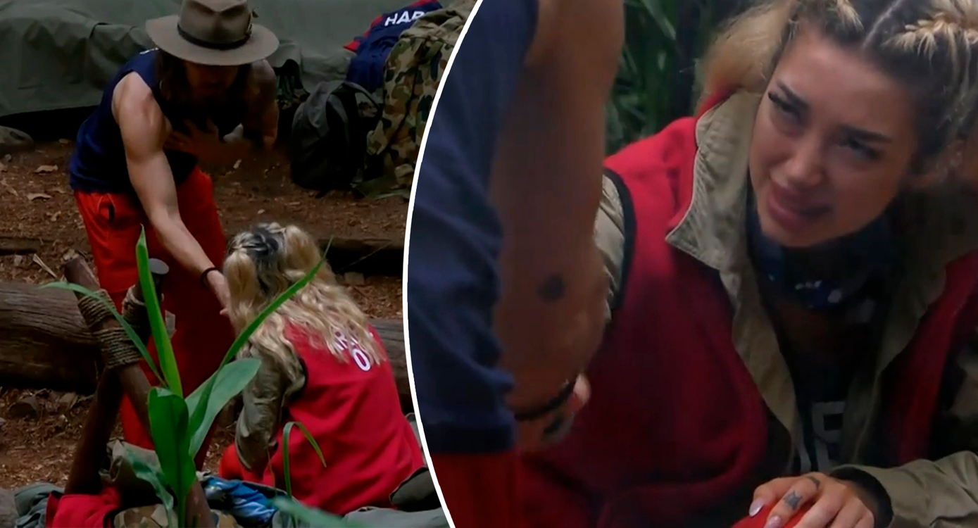 Das könnte Dschungel verändern: Ariel gibt Gil die Hand
