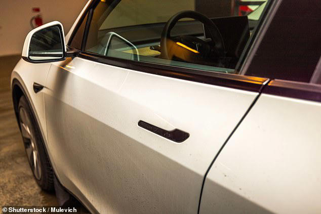 China bans hidden 'pop-out' car door handles as part of new safety ...