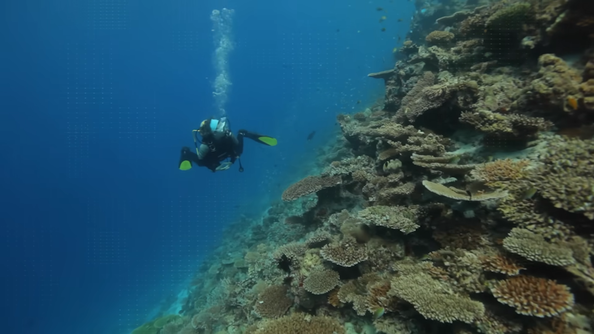 Divers went into the Great Blue Hole - then they hit the toxic layer